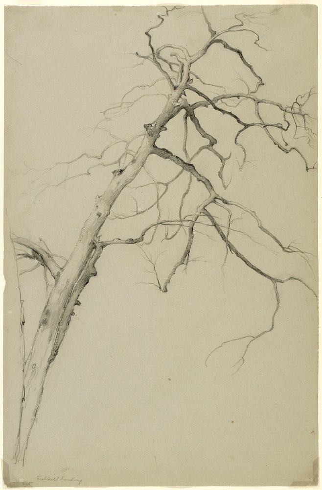 Study of Tree Branches, Fishkill Landing, New York, 1860